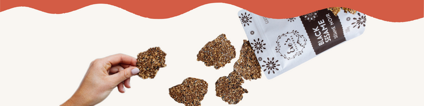 The Indulgent Seed Cracker – Eve's Crackers